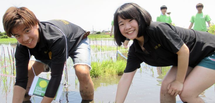 千葉県誕生150周年記念 田んぼアート in 山武市 - https://chiba150th-tamboart.com
