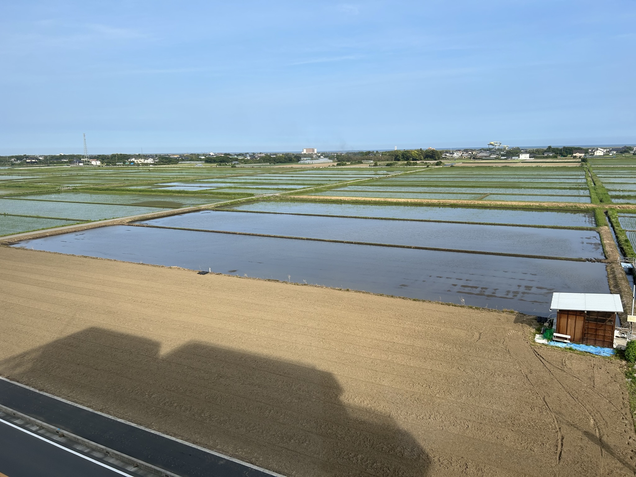 杭打ち作業の様子 - 千葉県誕生150周年記念 田んぼアート in 山武市