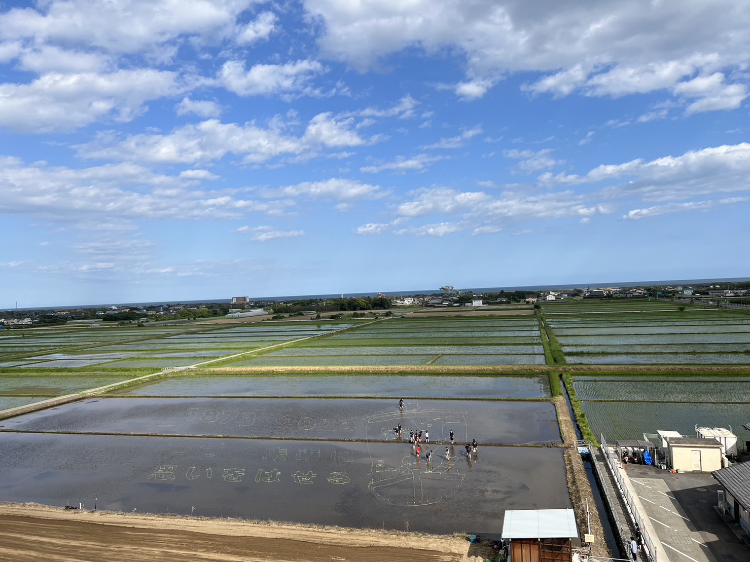 イベントの準備が進んでいます！ - 千葉県誕生150周年記念 田んぼアート in 山武市