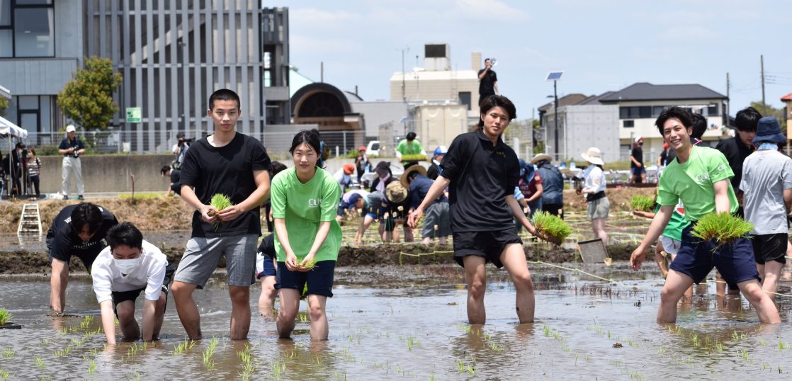 千葉県誕生150周年記念 田んぼアート in 山武市 - https://chiba150th-tamboart.com