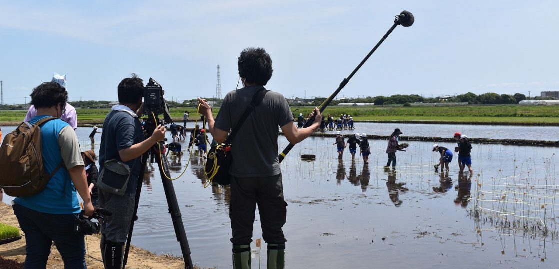 千葉県誕生150周年記念 田んぼアート in 山武市 - https://chiba150th-tamboart.com