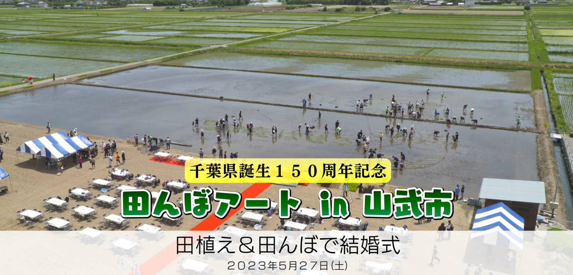 千葉県誕生150周年記念 田んぼアート in 山武市 - https://chiba150th-tamboart.com