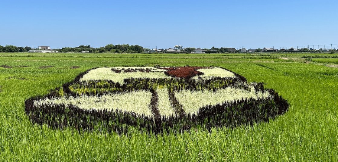 千葉県誕生150周年記念 田んぼアート in 山武市 - https://chiba150th-tamboart.com