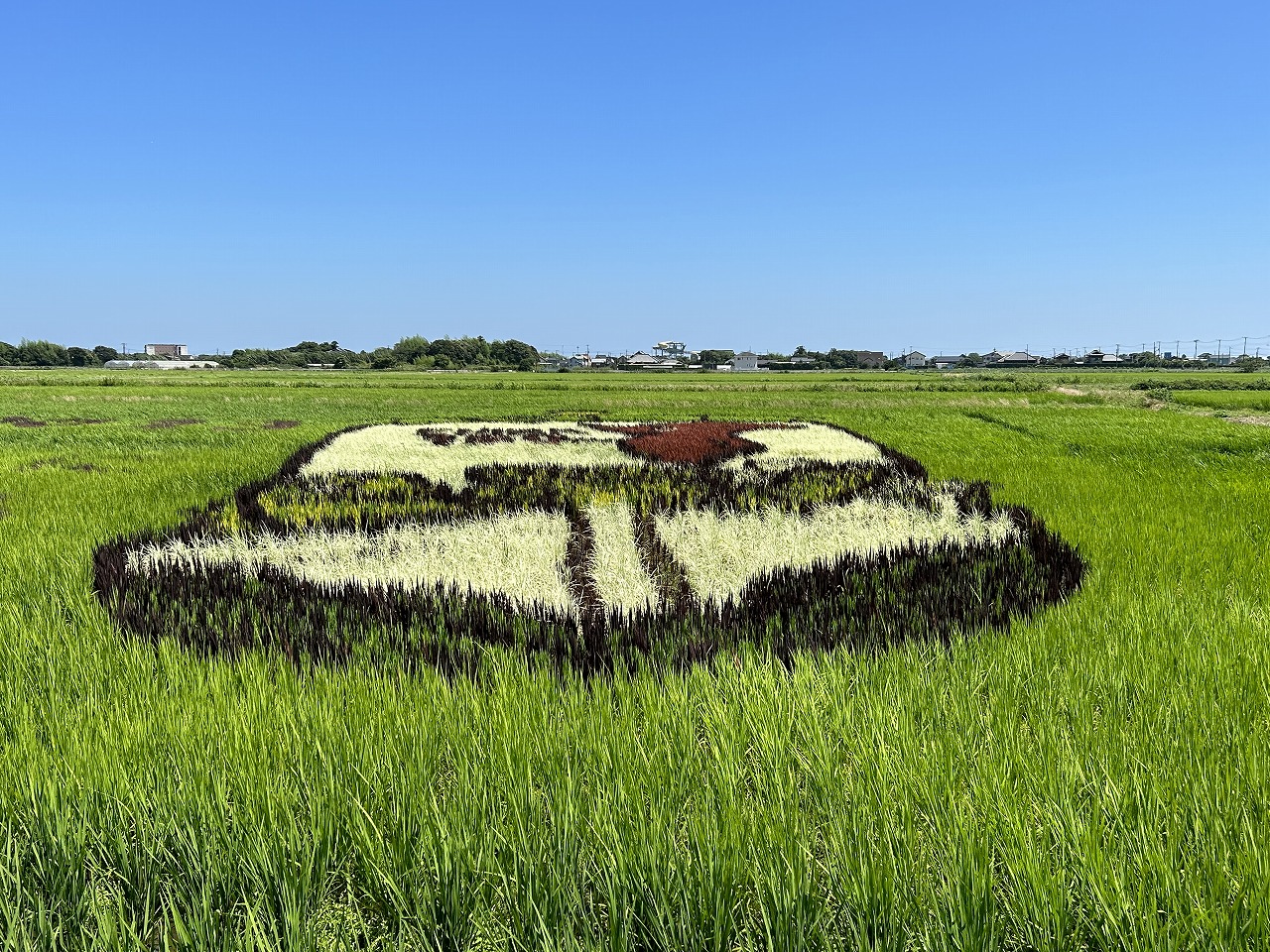 鑑賞祭のお知らせ - 千葉県誕生150周年記念 田んぼアート in 山武市