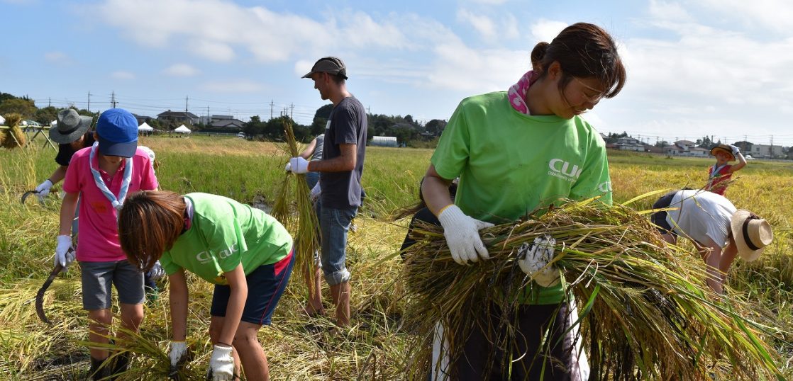 千葉県誕生150周年記念 田んぼアート in 山武市 - https://chiba150th-tamboart.com
