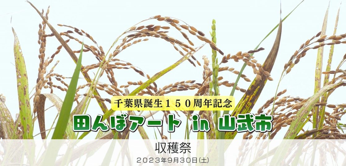 千葉県誕生150周年記念 田んぼアート in 山武市 - https://chiba150th-tamboart.com
